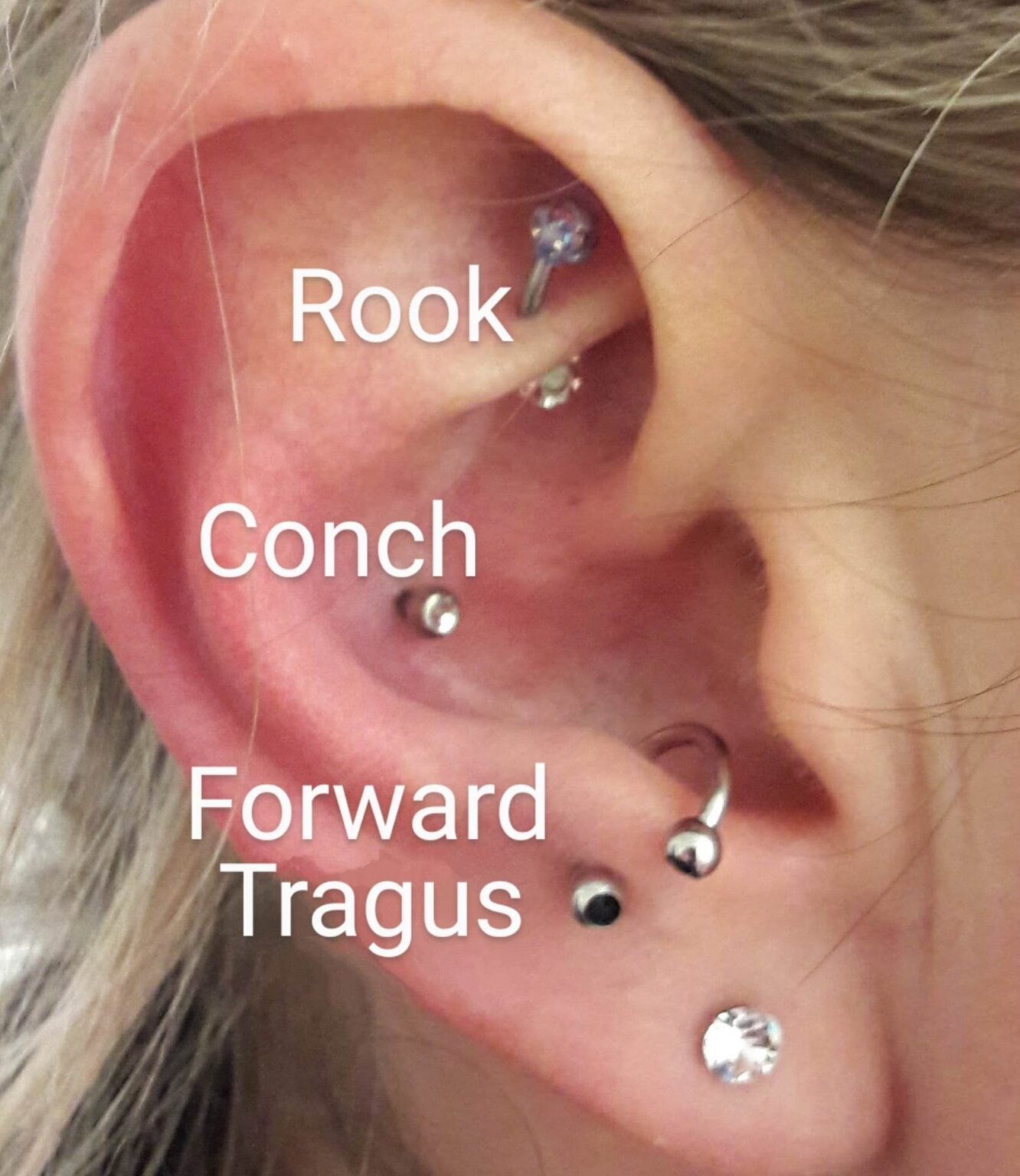 Professional Body Piercings helix nipple conch navel